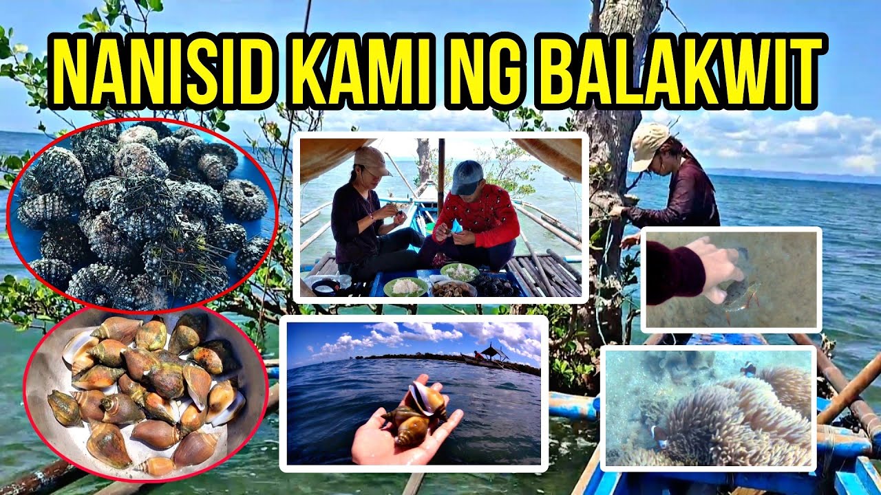 Nanisid kami ng Balakwit sa dagat #fypシ #seafood #simplelife - YouTube