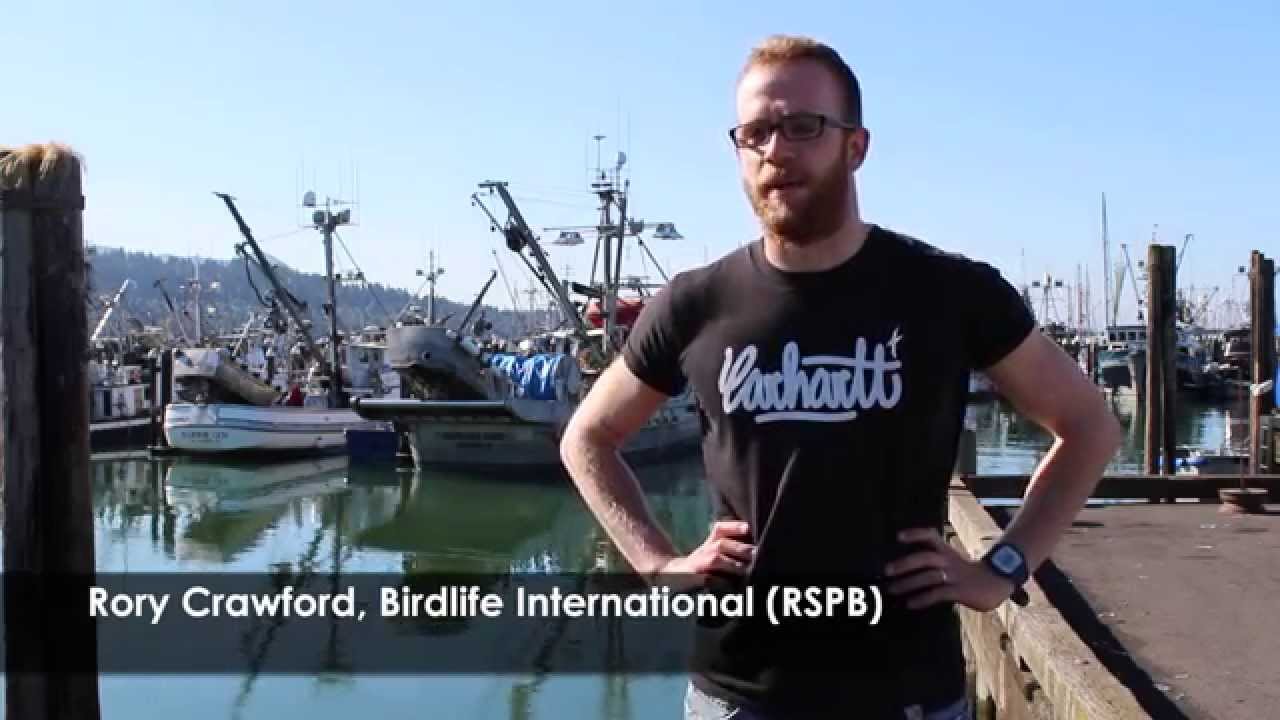 Understanding Seabird Bycatch in Gillnet Fisheries - YouTube