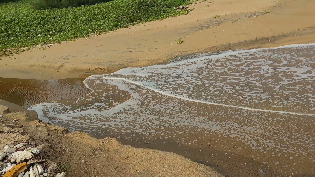 Small Estuary in ECR - சிறிய முகத்துவாரம் - YouTube