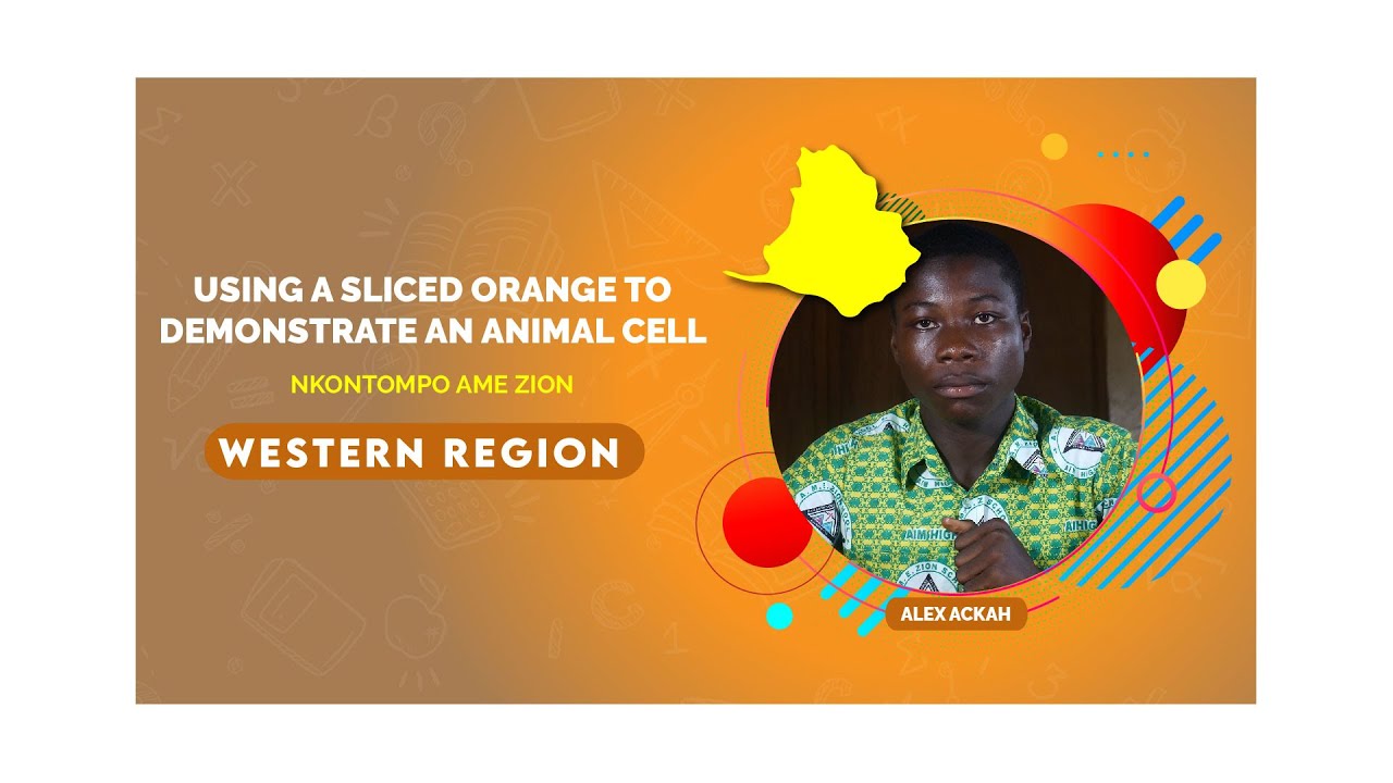 USING A SLICED ORANGE TO DEMONSTRATE AN ANIMAL CELL - #GH4STEM JUNEOS ...