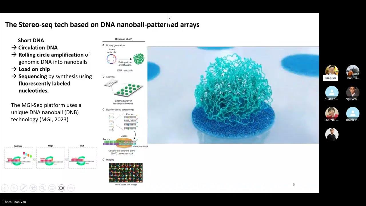 JCS 1. Spatial transcriptomics with Stereo-seq - YouTube
