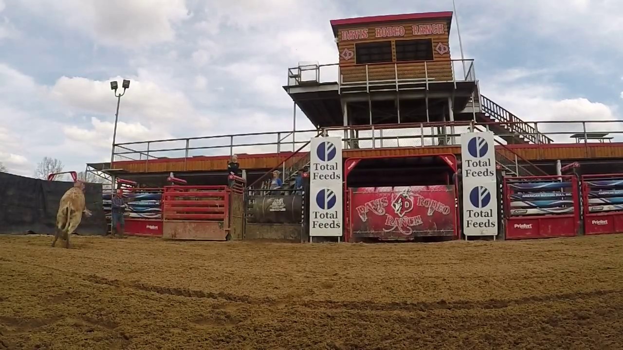 DAVIS RODEO 773 - YouTube