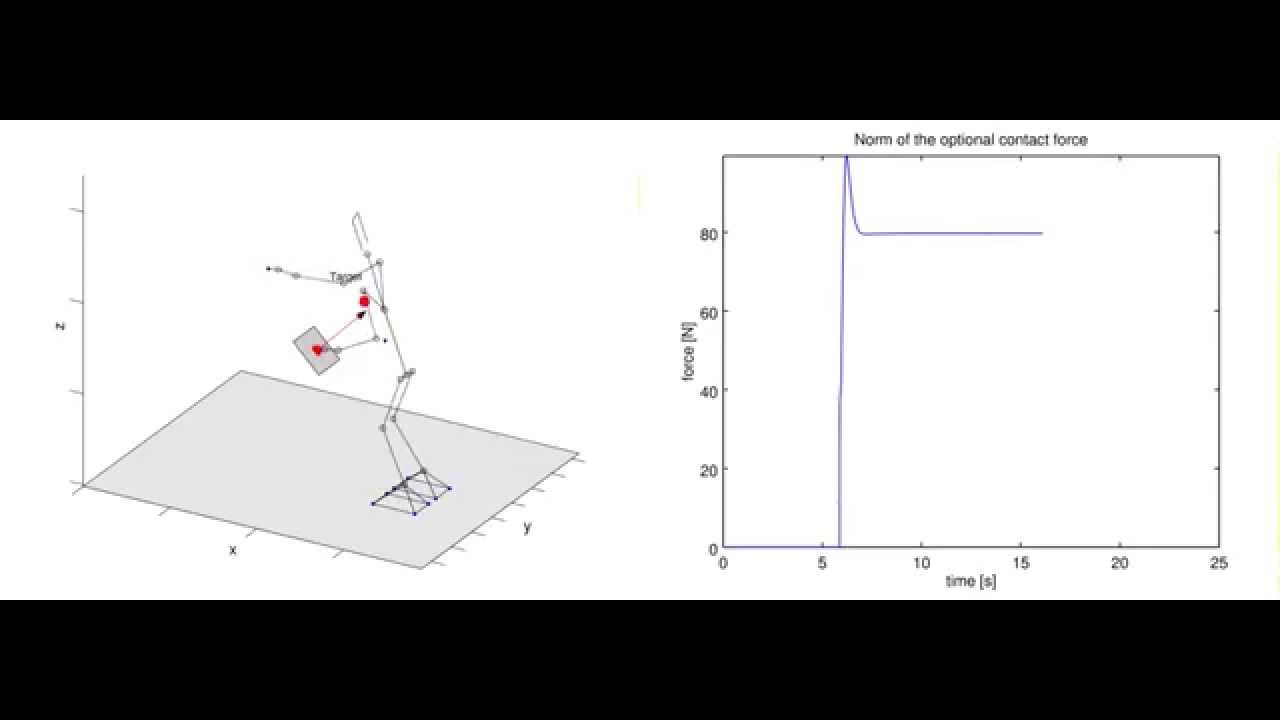Balancing a humanoid robot with a prioritized contact force ...