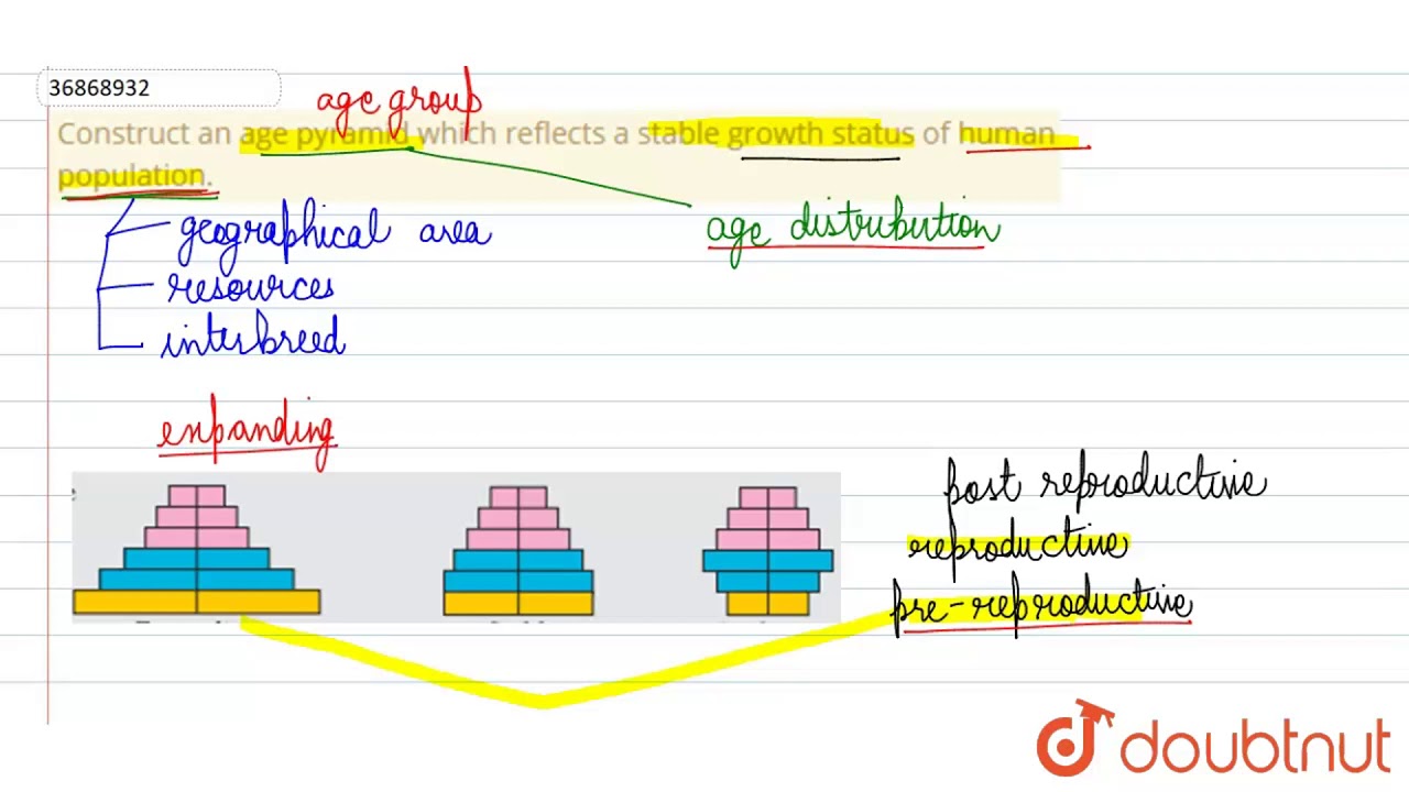 Construct an age pyramid which reflects a stable growth status of human ...