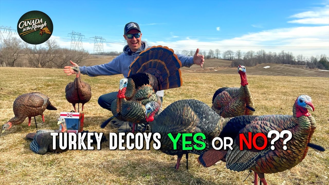 Turkey Decoys YES or NO?? (HOW TO SETUP) | New Hunter Hunting Tips 101 ...