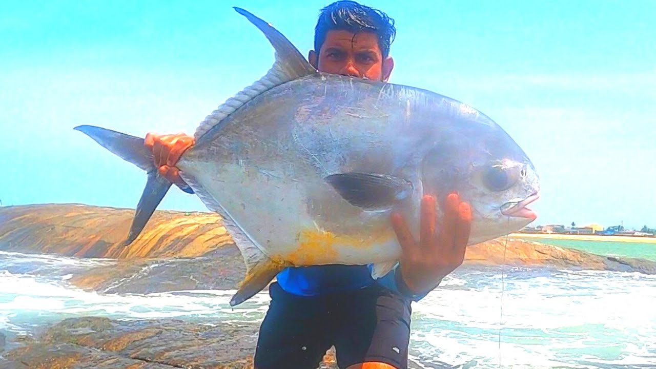 BATALHA CONTRA PAMPOS GIGANTES!! Pescaria no mar - YouTube