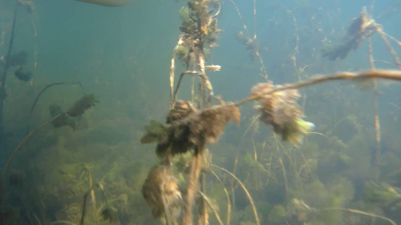 The Kayak Submarine - YouTube