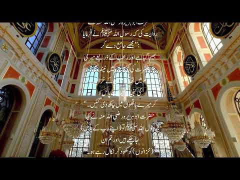 Ravayat abou horara Rasoolallah mogy jamya kalmat #islam #islamicvideo #islam