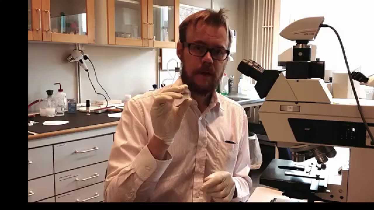 Sample preparation: -surface polishing - YouTube