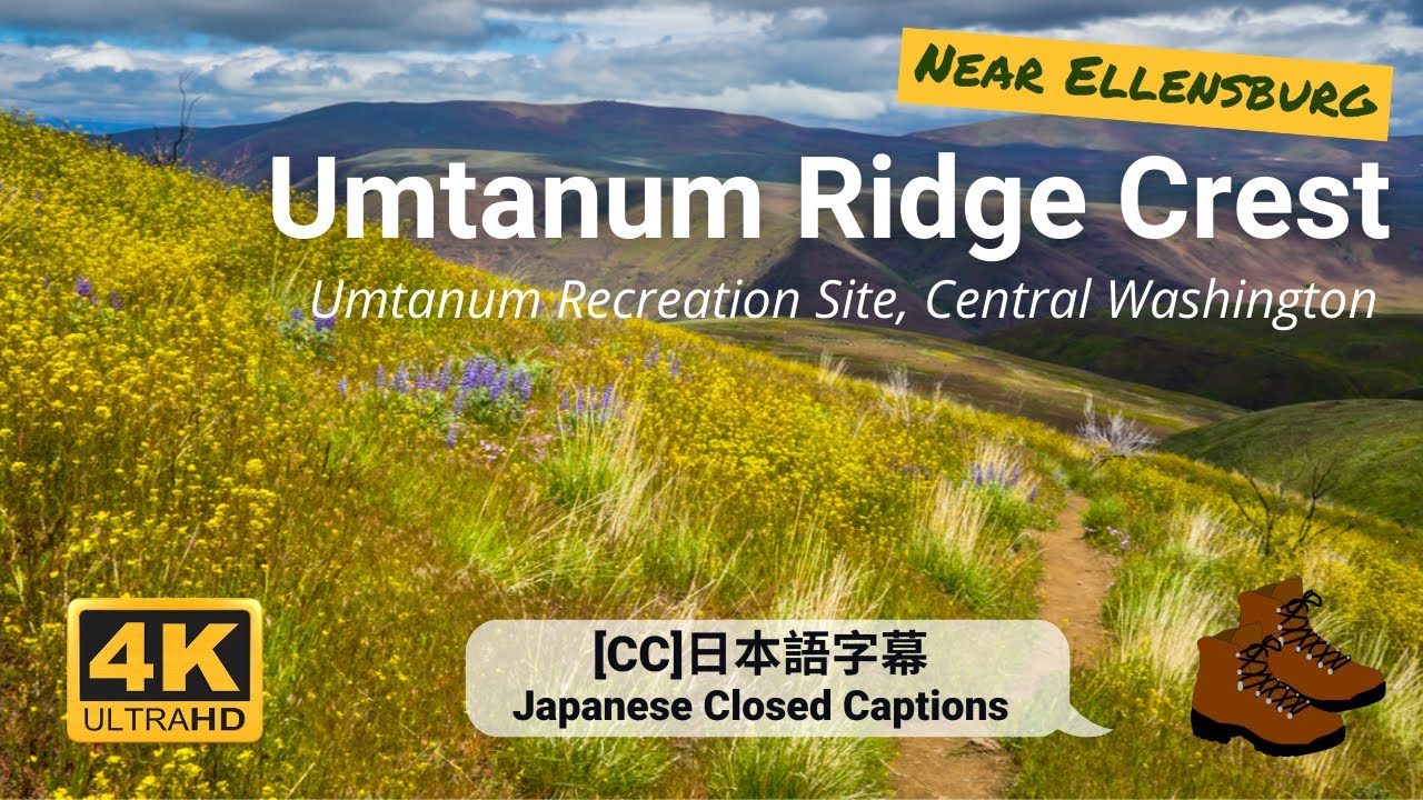 Washington Desert Wildflower Hike | Umtanum Ridge Crest Trail ...