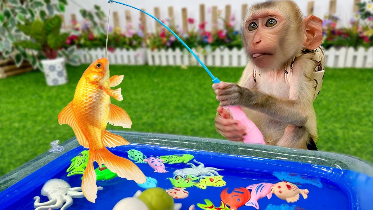 Baby Monkey Boo Boo go fishing and eat fruit with puppies in the garden ...