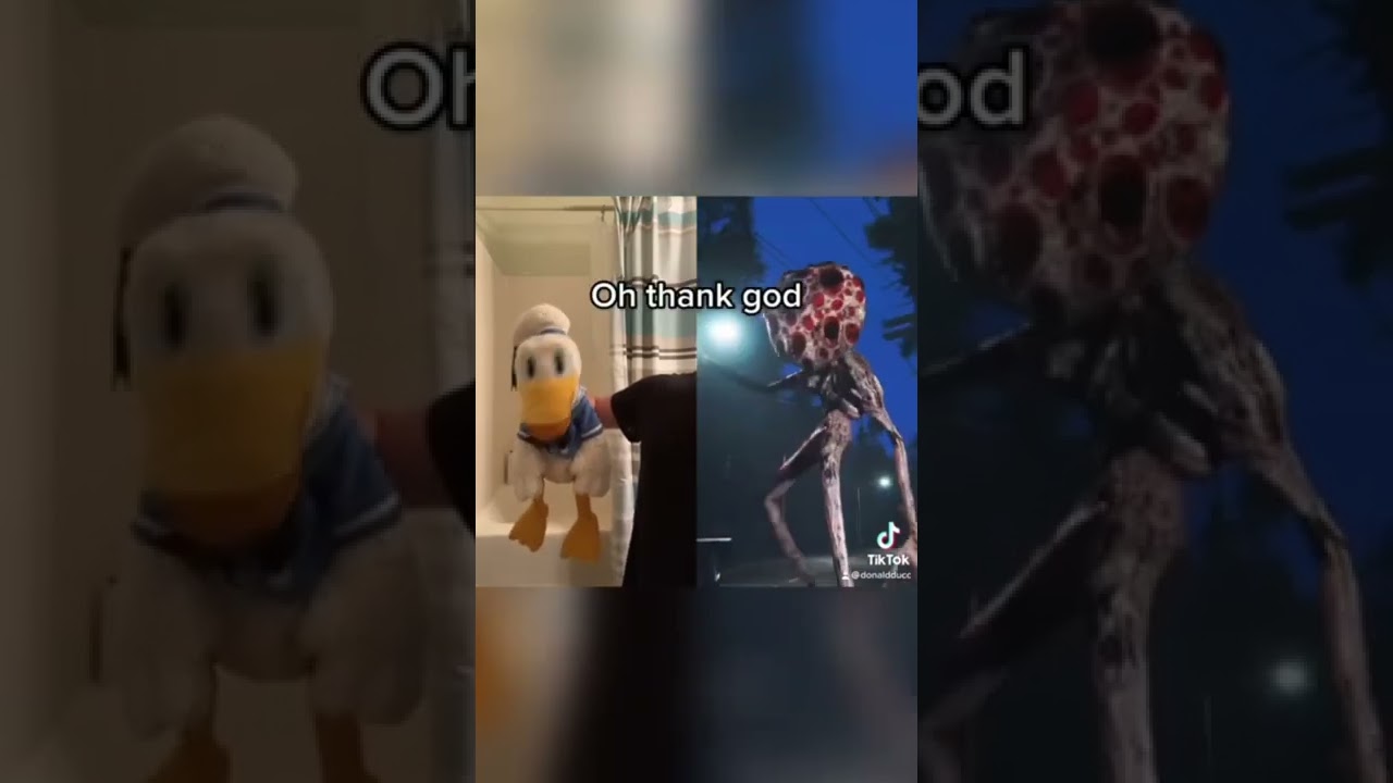 DonaldDucc reacts to Creepy Videos Compilation - YouTube