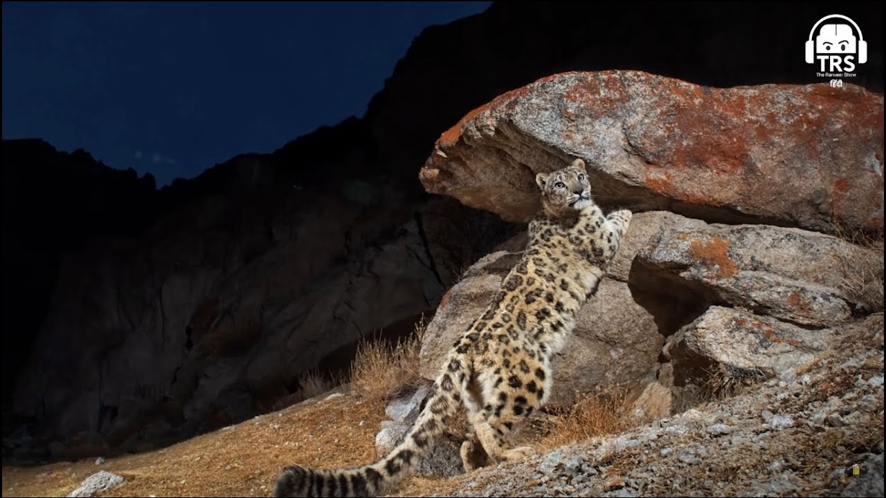KINNAUR VALLEY , KALPA AND CHITKUL 1ST DECEMBER 2021 in 4K - YouTube