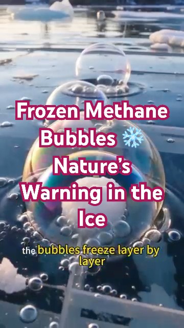 Frozen Methane Bubbles ️ Nature’s Warning in the Ice - YouTube