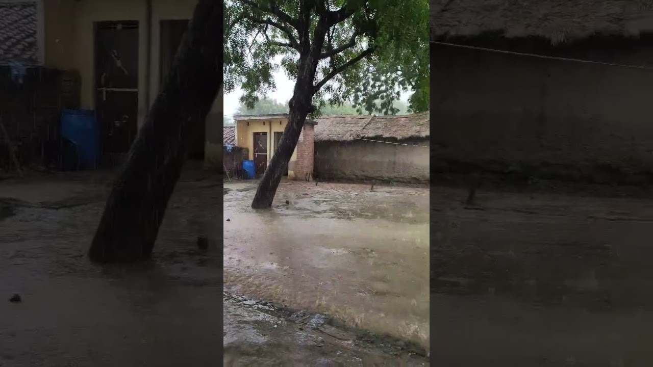 morning barish | awesome view - YouTube