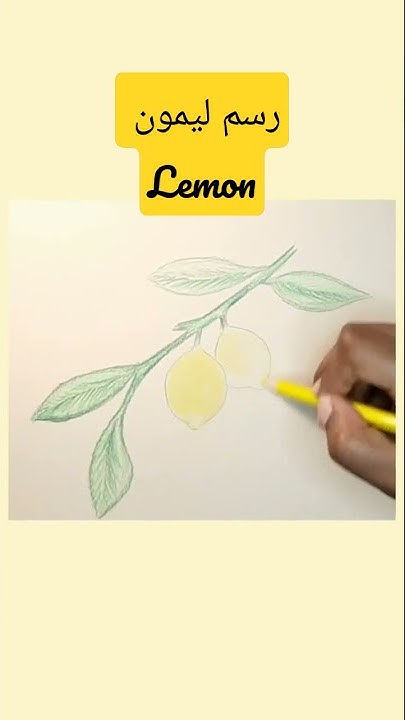 رسم ليمون ، شجر الليمون ، غصن ليمون - YouTube