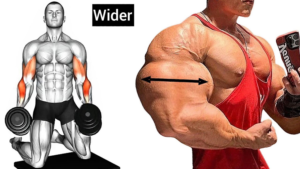Effective Full Arms Workout to Builder Wider Arms - YouTube