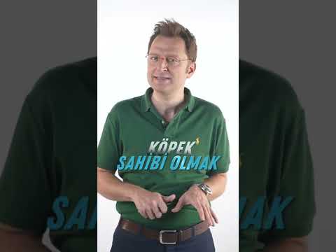 Köpek sahibi olmanın sağlık üzerine faydaları nedir?