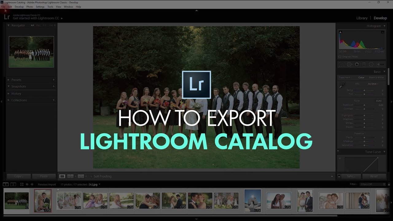 How To Export Lightroom Catalog YouTube how-to-export-lightroom-catalog-youtube
