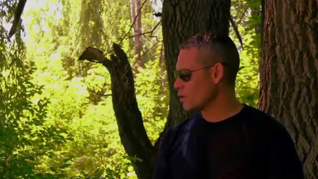 Ninpo Toronto Ninjutsu, Real Ninja Training, Bujinkan, Ninpo Taijutsu ...