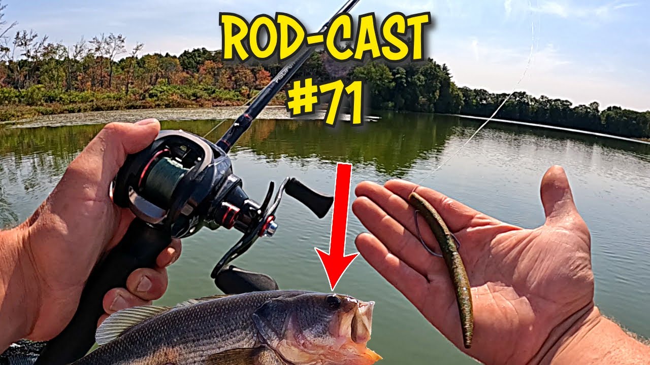 This Is Where The BIG BASS Live... | Rod-Cast Ep: 71 - YouTube