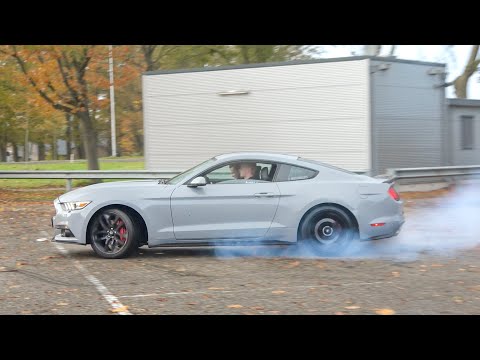 Ford Mustang GT (Bullit) - LOUD Revs, Burnouts, Accelerations ...
