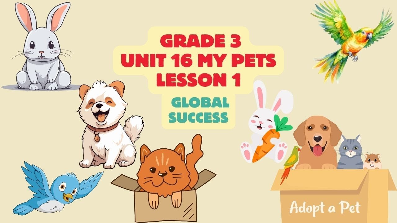 Grade 3 Unit 16 Lesson 1 My pets Global Success - YouTube
