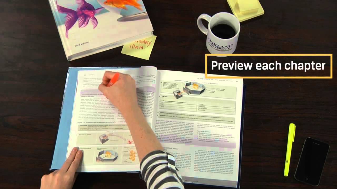 Make The Most Out Of Your Textbooks YouTube make-the-most-out-of-your-textbooks-youtube