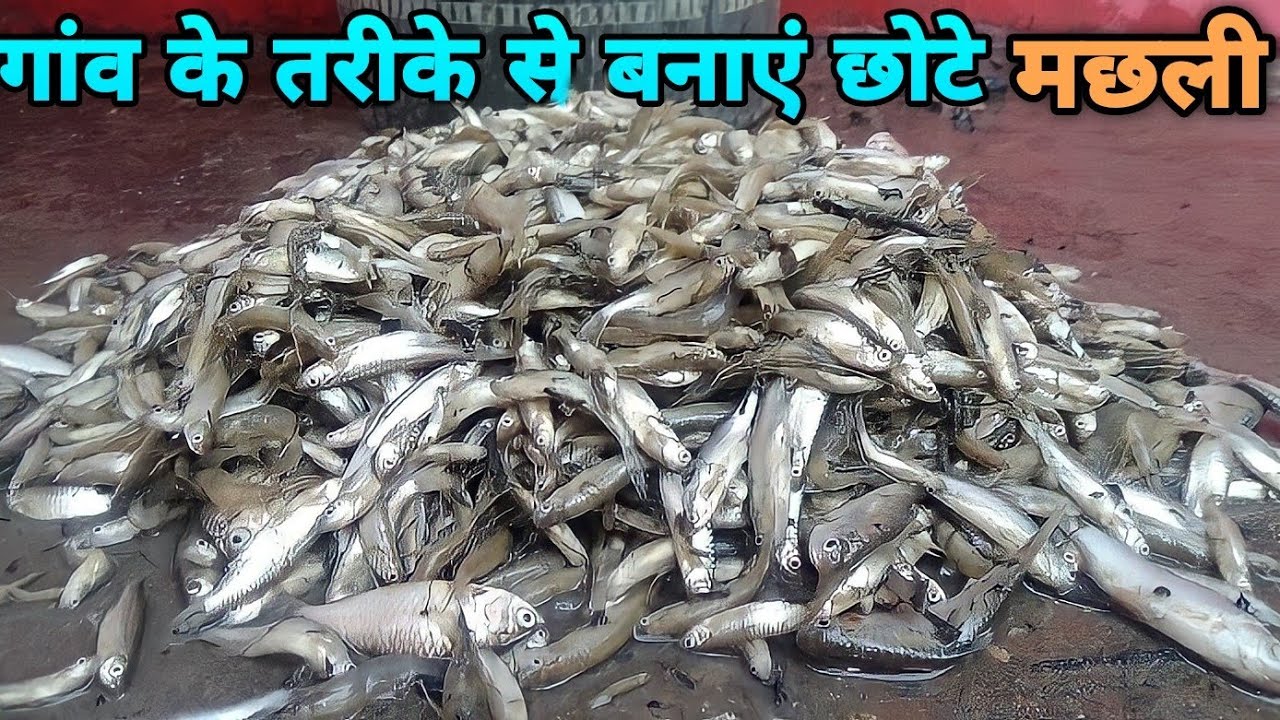 small fish curry village style l pothi fish curry ll small fish kese ...