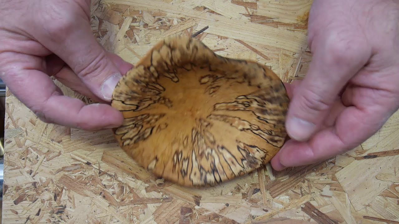 Woodturning - Spalted Silver Birch Bowl - Record Power CL3, Spindle ...