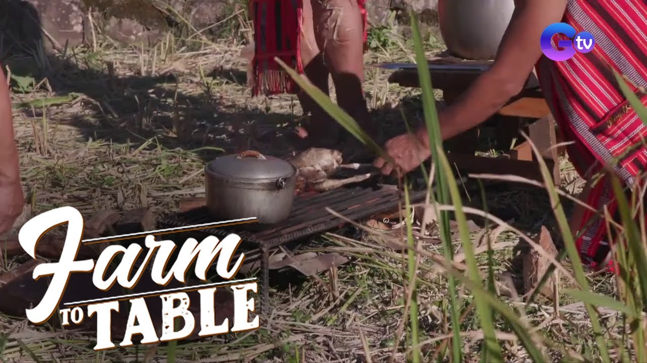 The ritual and process behind Igorot’s famous dish, Pinikpikan! | Farm ...