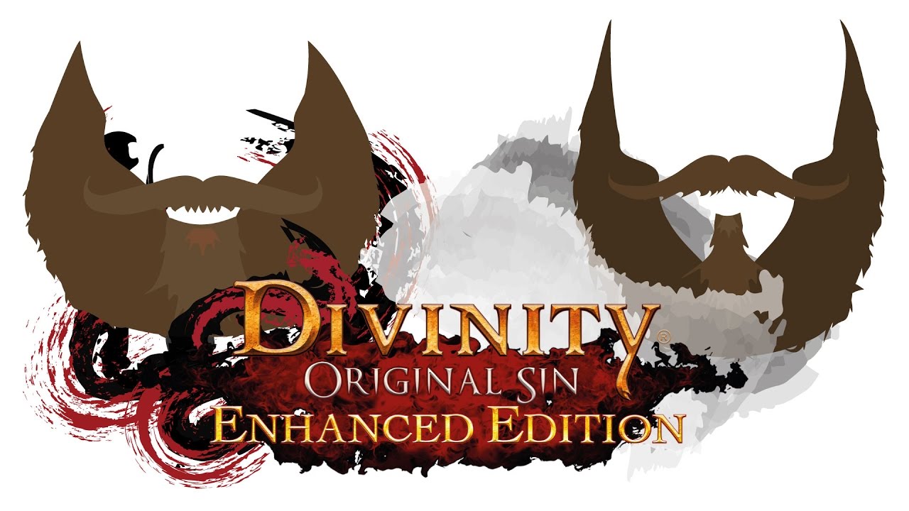 Divinity Original Sin Enhanced Edition - Episode 2 : Pick'a Pocket or ...