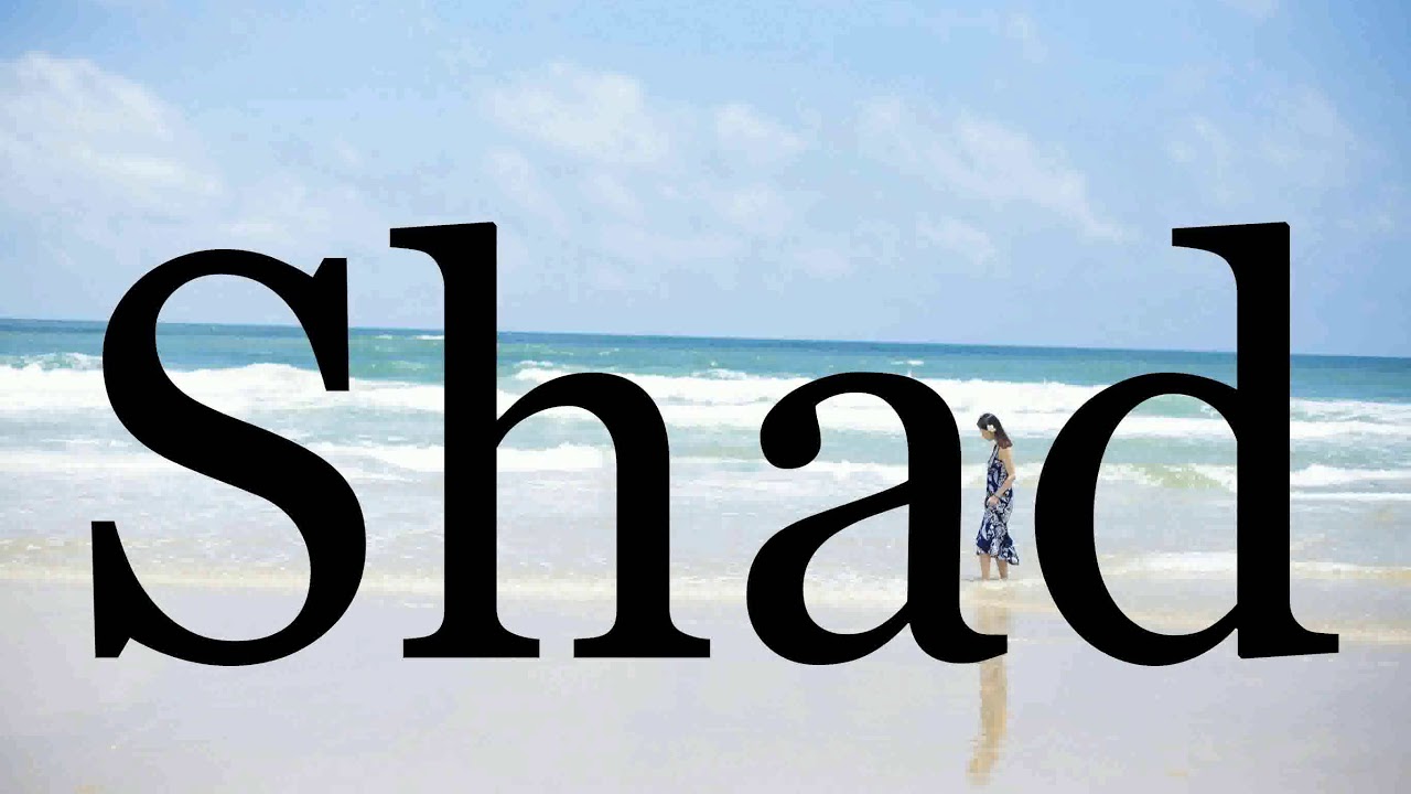 How To Pronounce Shad🌈🌈🌈🌈🌈🌈Pronunciation Of Shad - YouTube