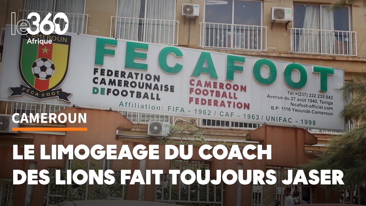 Cameroun. Coach et joueurs virés à l’approche de la CAN: les ...