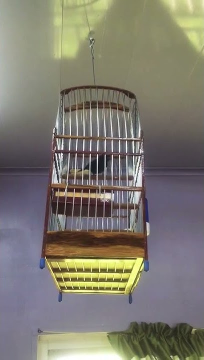 Miguel Picolet - YouTube