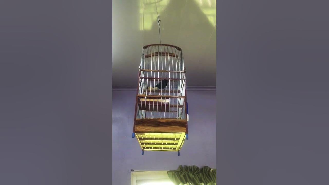 Miguel Picolet - YouTube