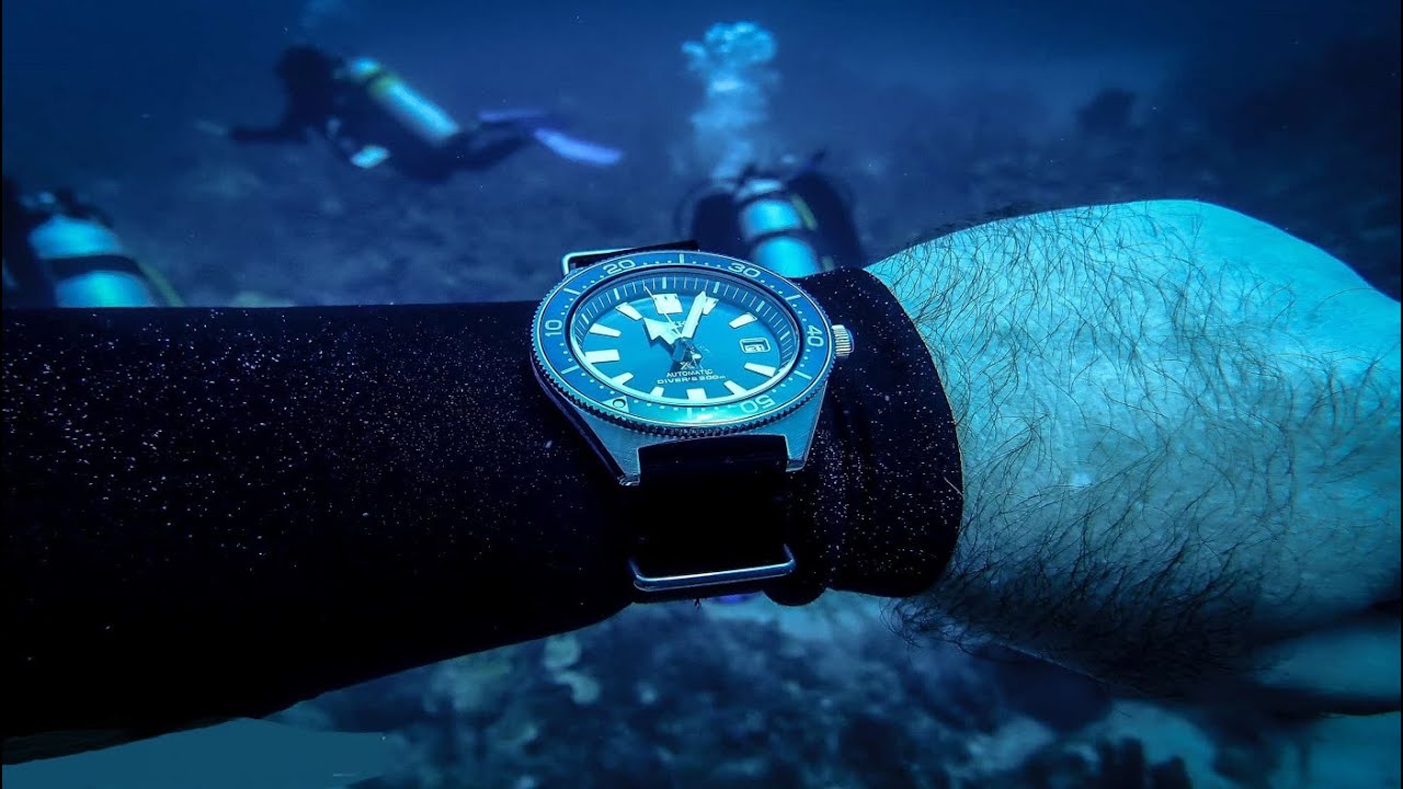 Top 7 Best Diver Watches For Men Buy 2024 - YouTube