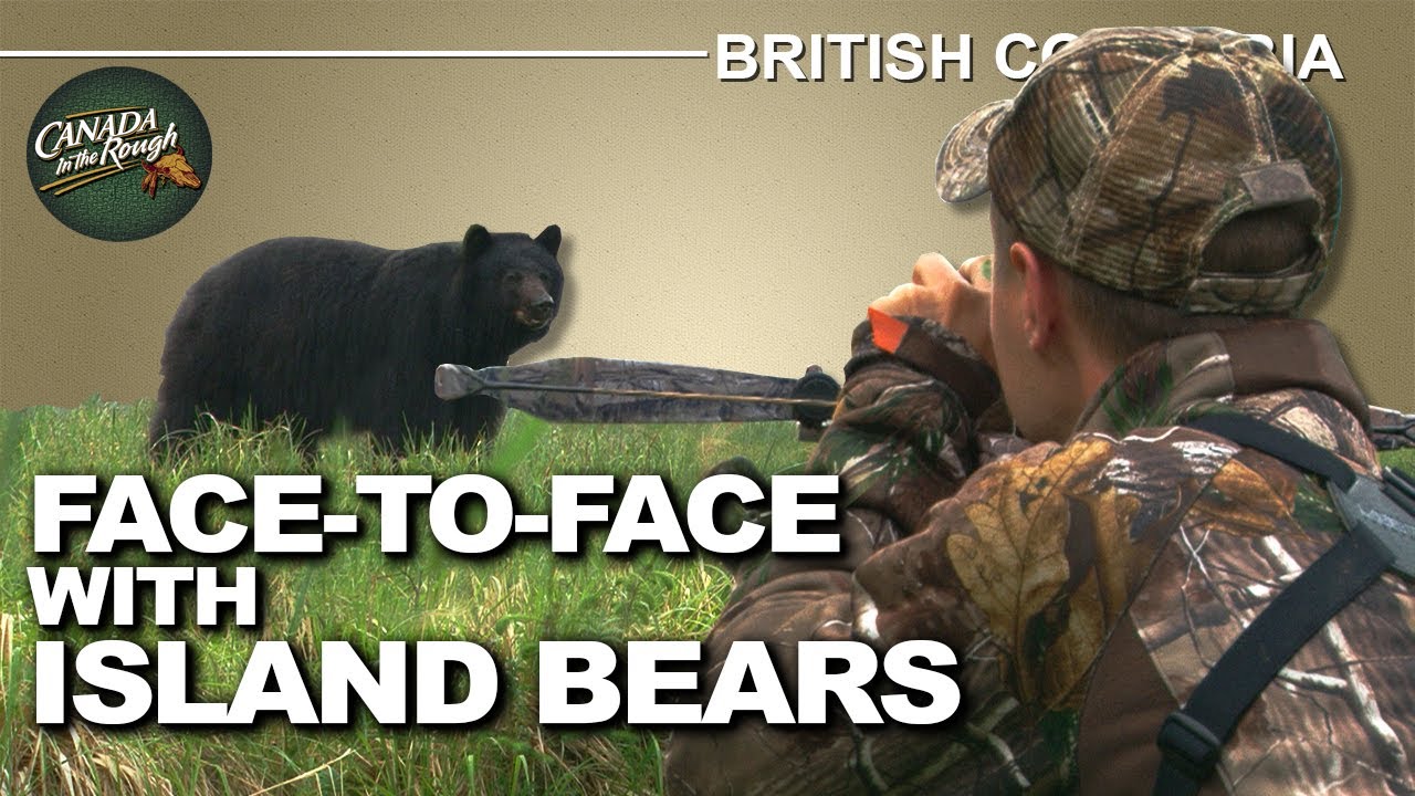 Stalking Bears on Vancouver Island (EPIC Black Bear Hunt) | Canada in ...