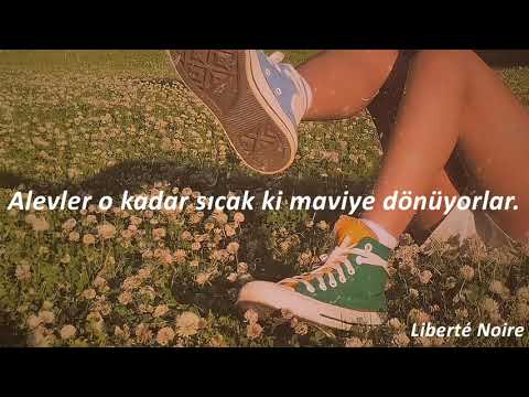 Lana Del Rey - Freak (Türkçe Çeviri)