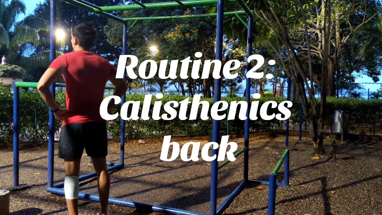 Routine 2: Calisthenics Back - YouTube