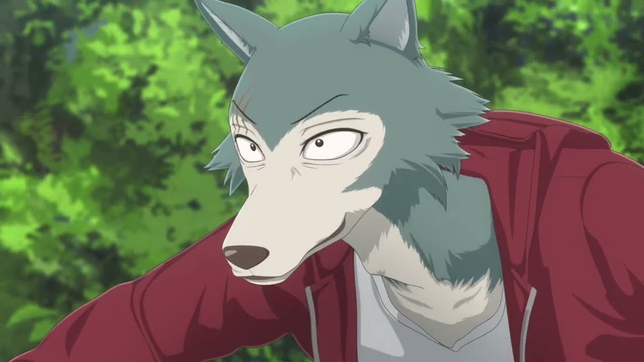 Legoshi meets his former classmates | Beastars Season 3 | English Dub ...