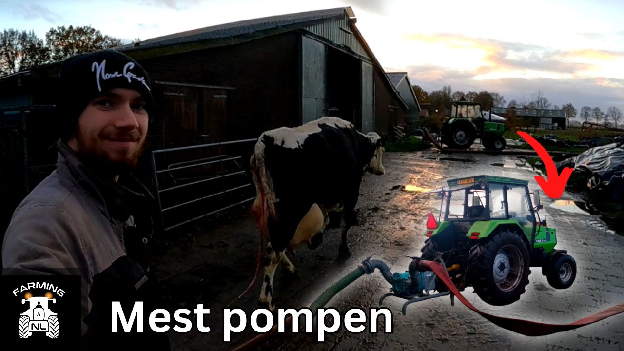 Mest over pompen & Koe krijgt kalf - YouTube