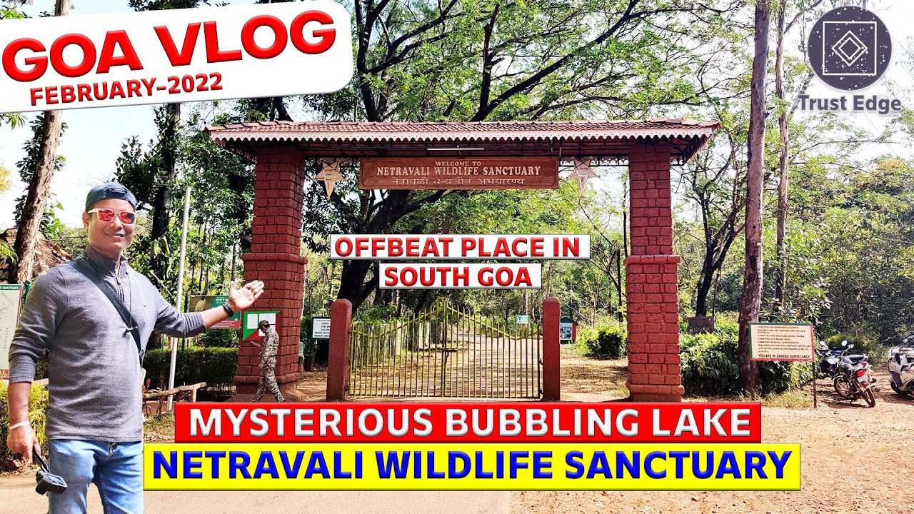 87+ most beautiful images in Netravali Wildlife Sanctuary, Goa, India