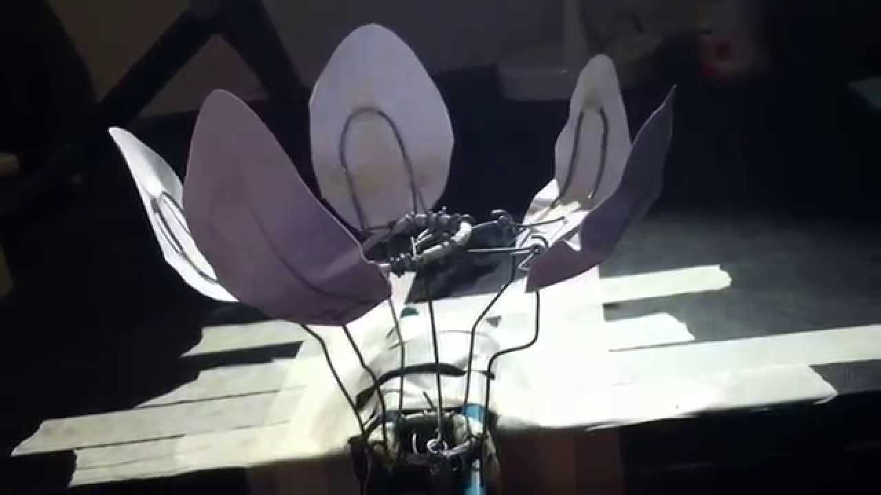 Kinetic flower - YouTube