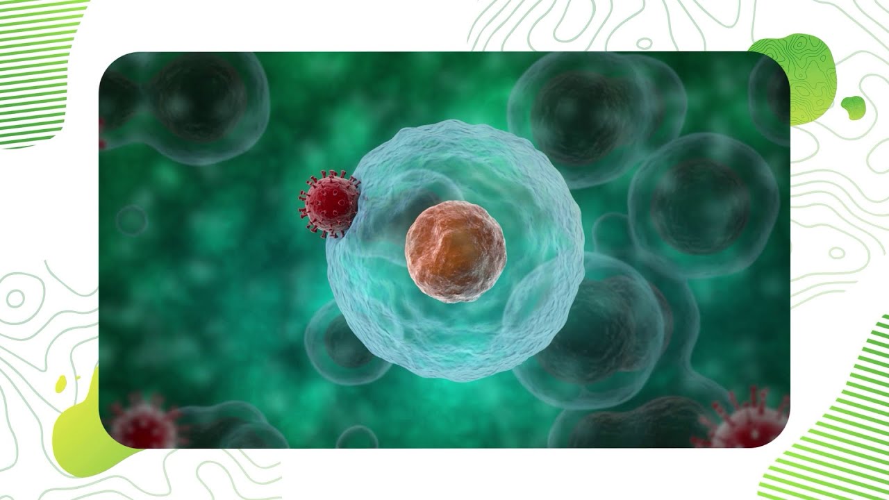 Ciclo de vida de un virus | Serie Biología 🟢 - YouTube