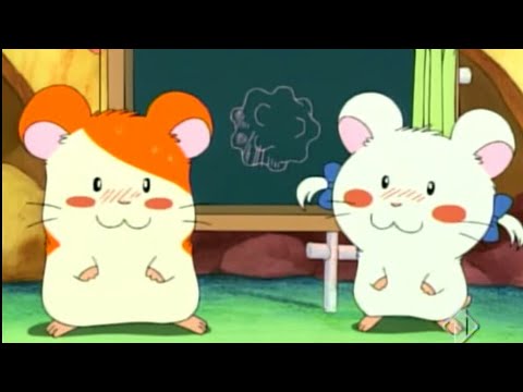 Hamtaro - Confetti di zucchero?