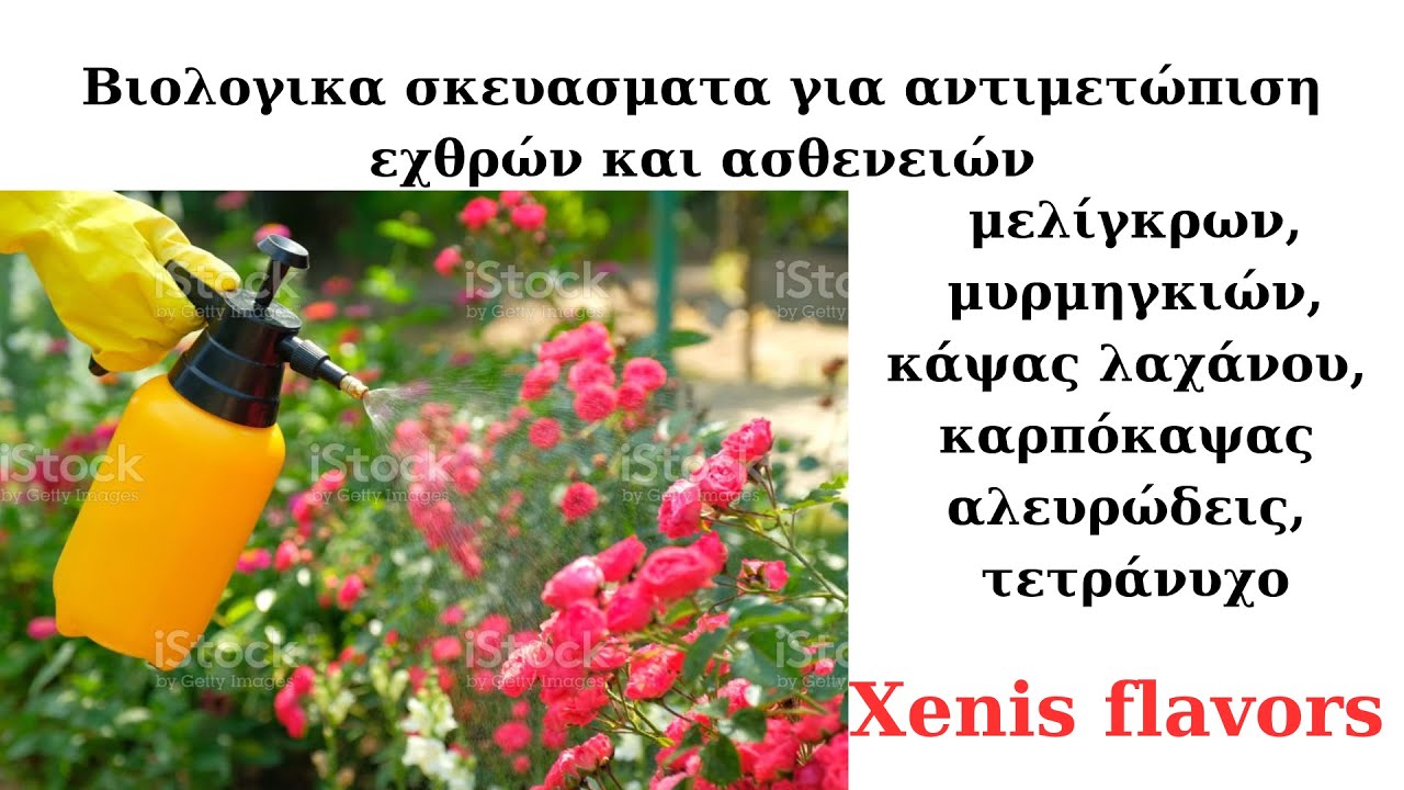 Βιολογικά σκευάσματα για αντιμετώπιση εντόμων στα φυτά μας! Αναγνώριση ...