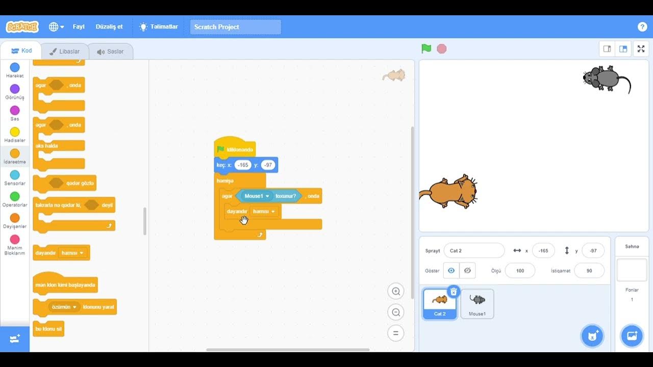 Ayxan Xudaverdiyev Scratch proqramında siçan və pişik oyunu - YouTube
