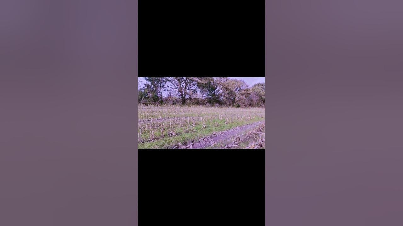 Ready for a new field - YouTube