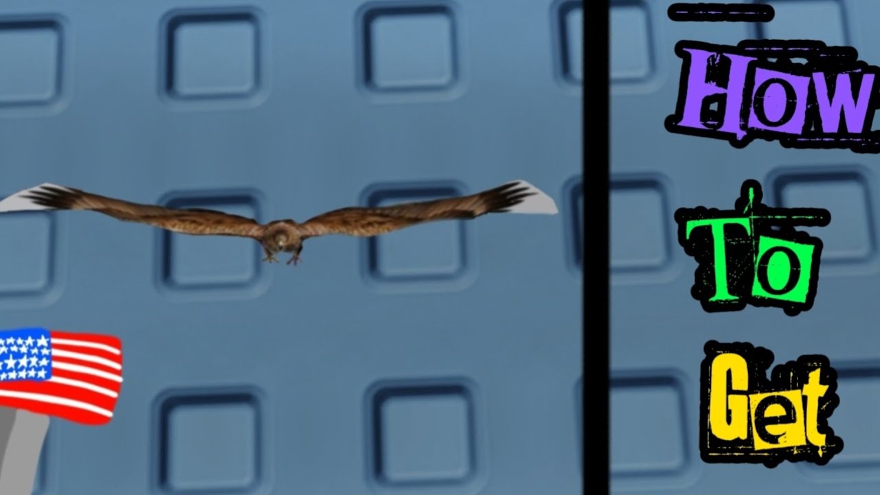 How to get Hawk! | IQ Obby! - YouTube